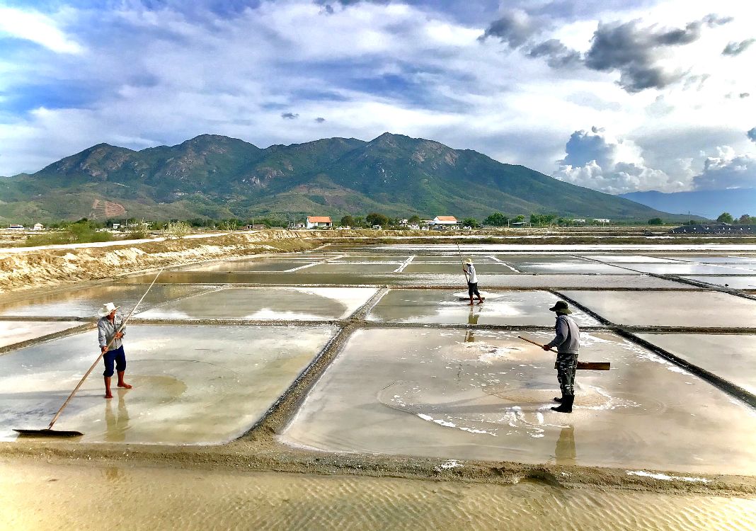 The beauty of salt fields - The Saigon Times