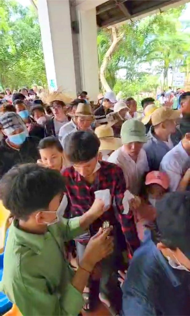 A spring tour around Cam Mountain - The Saigon Times
