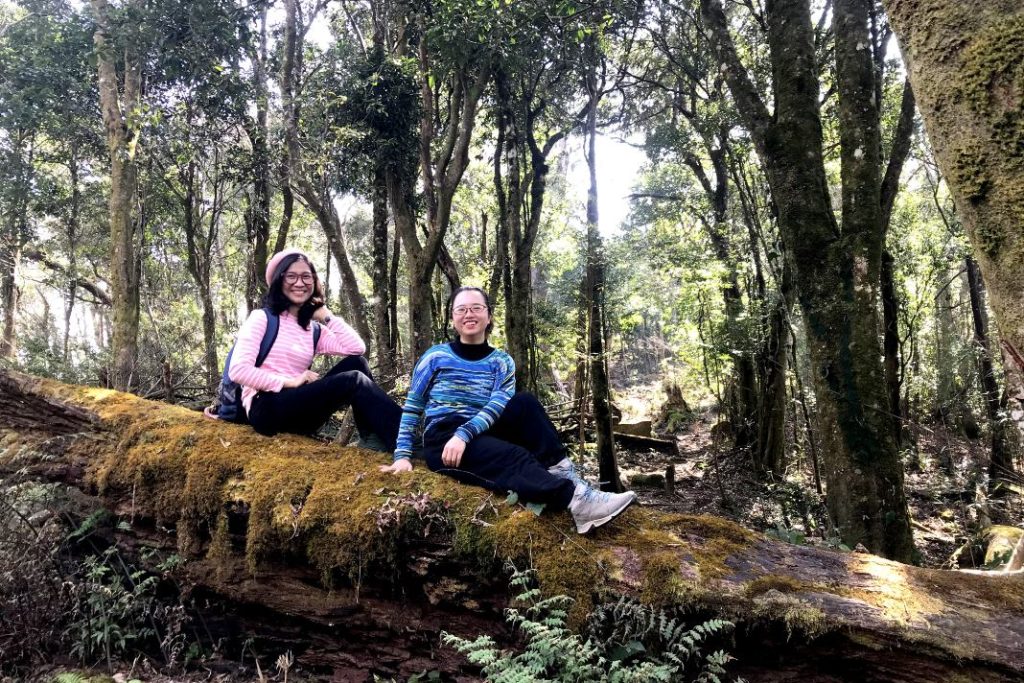 A trip to mossy land