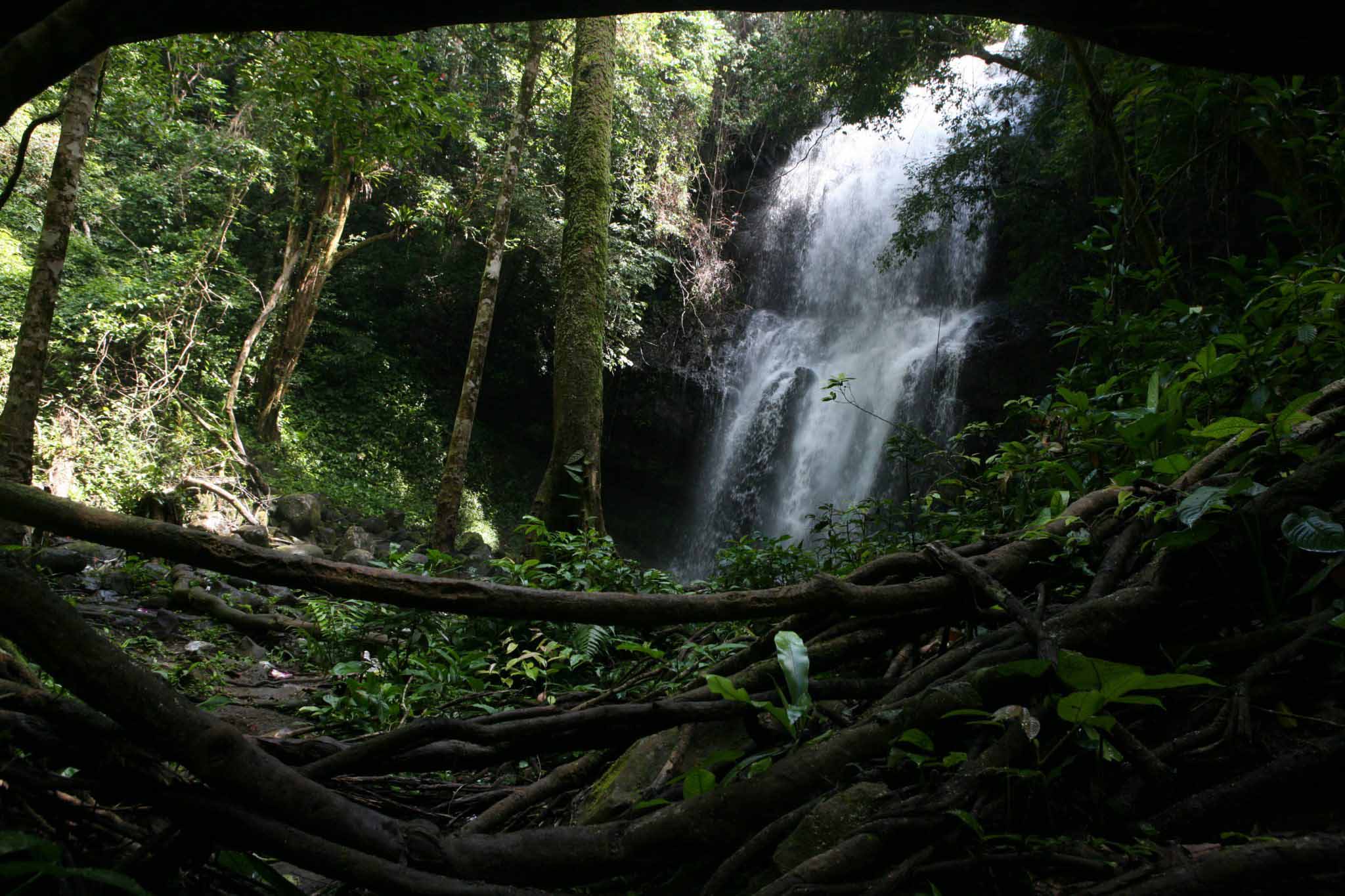 The majestic Luu Ly Waterfall in Dak Nong - The Saigon Times